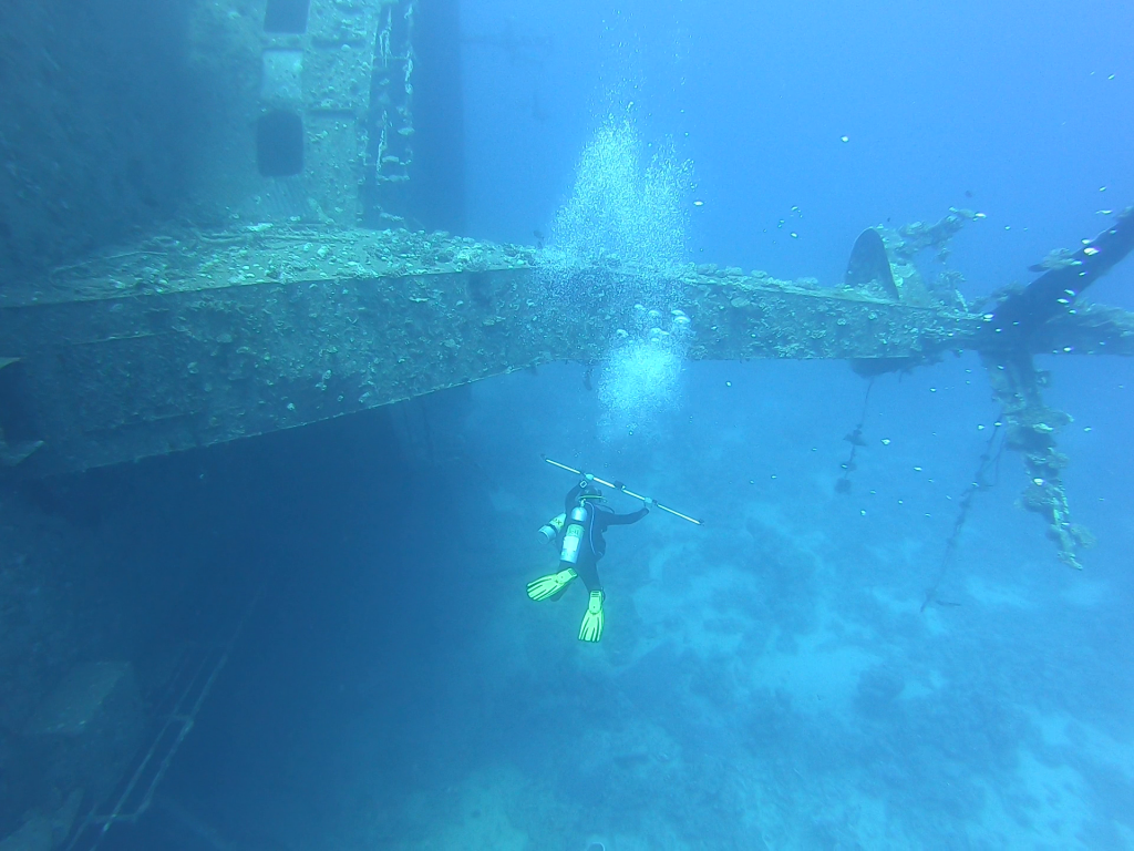 Salem Express | Dive3D.eu